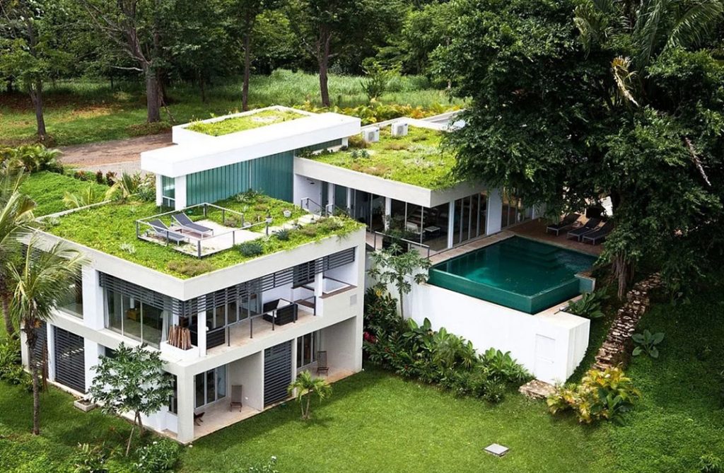 What Is Green Building And How To Implement It At Home – First Savvy Home
